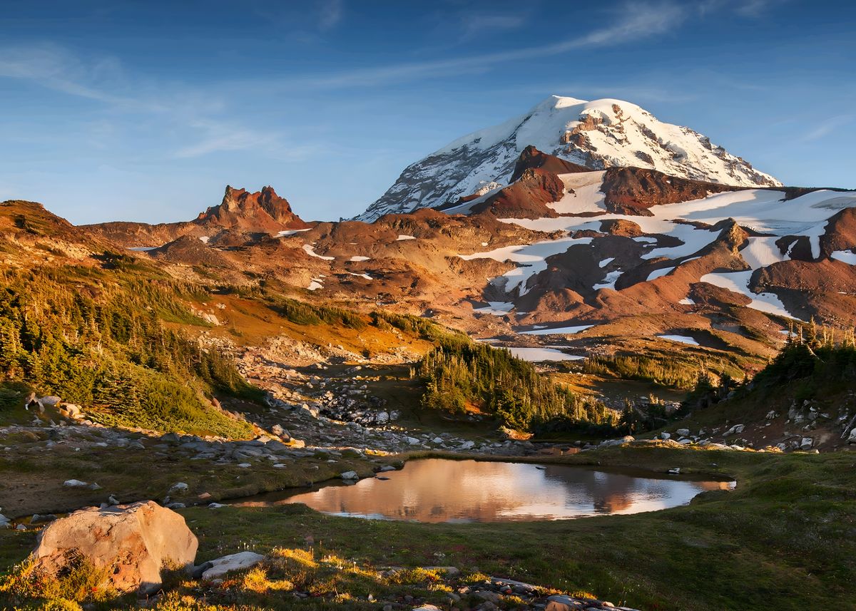 'Mount Rainier Landscape' Poster, picture, metal print, paint by Desira ...