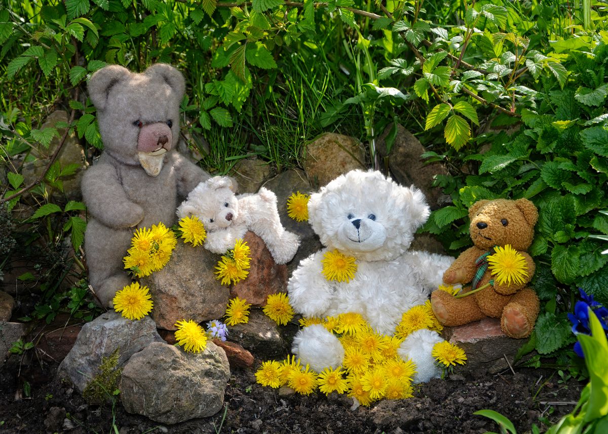 'Teddy Bears in a Garden' Poster, picture, metal print, paint by ...