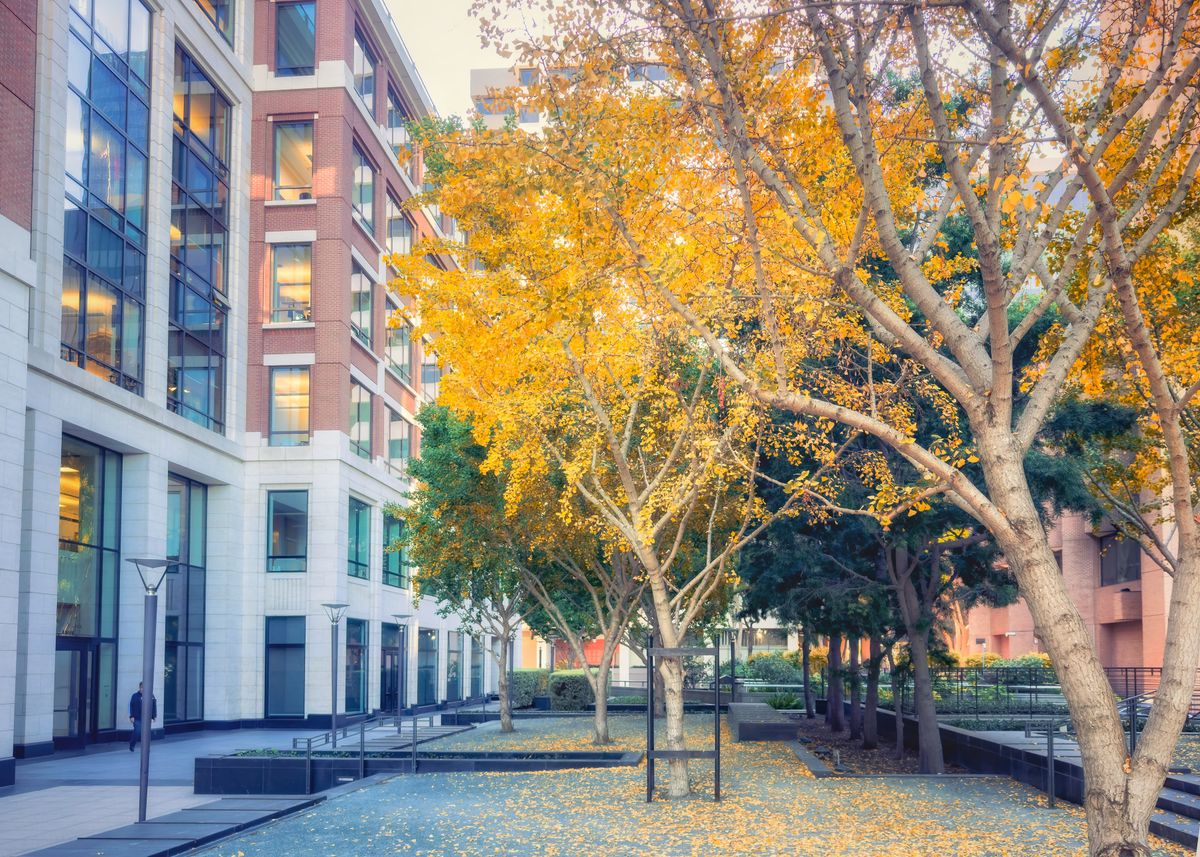 'Autumn Cityscape with Trees' Poster, picture, metal print, paint by ...