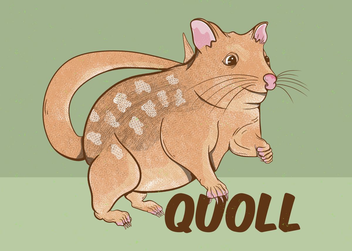 'Cute Quoll Illustration' Poster, picture, metal print, paint by ...