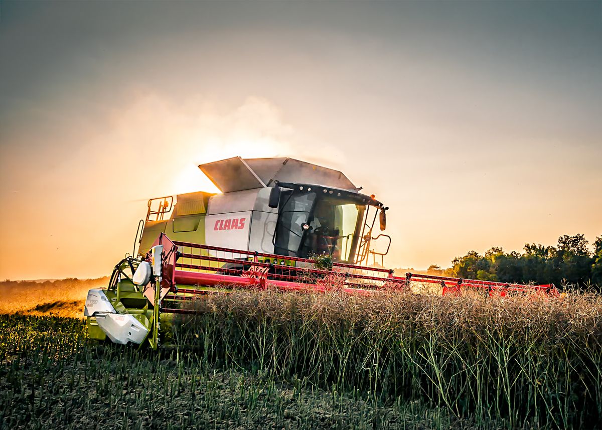 'Claas Lexion Combine Harvester in Field' Poster, picture, metal print ...