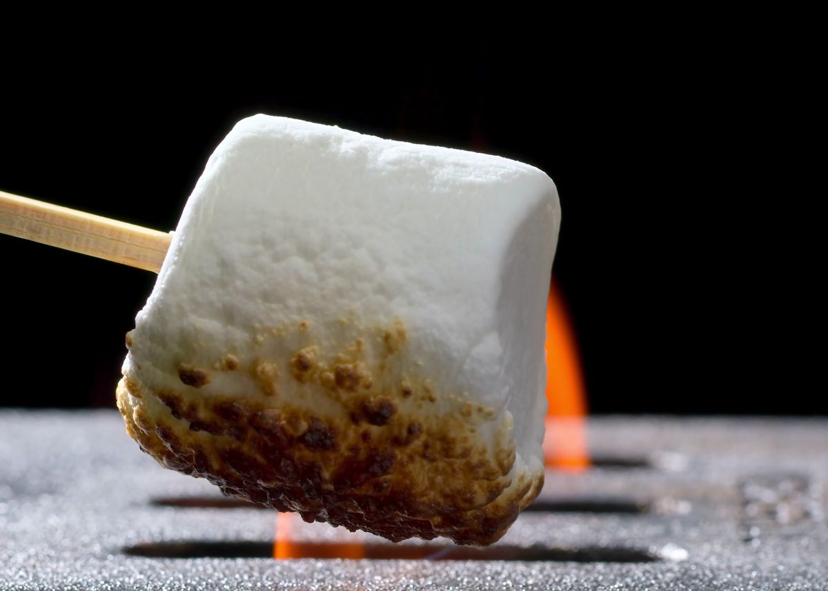 'Toasted Marshmallow' Poster, picture, metal print, paint by DaGont ...