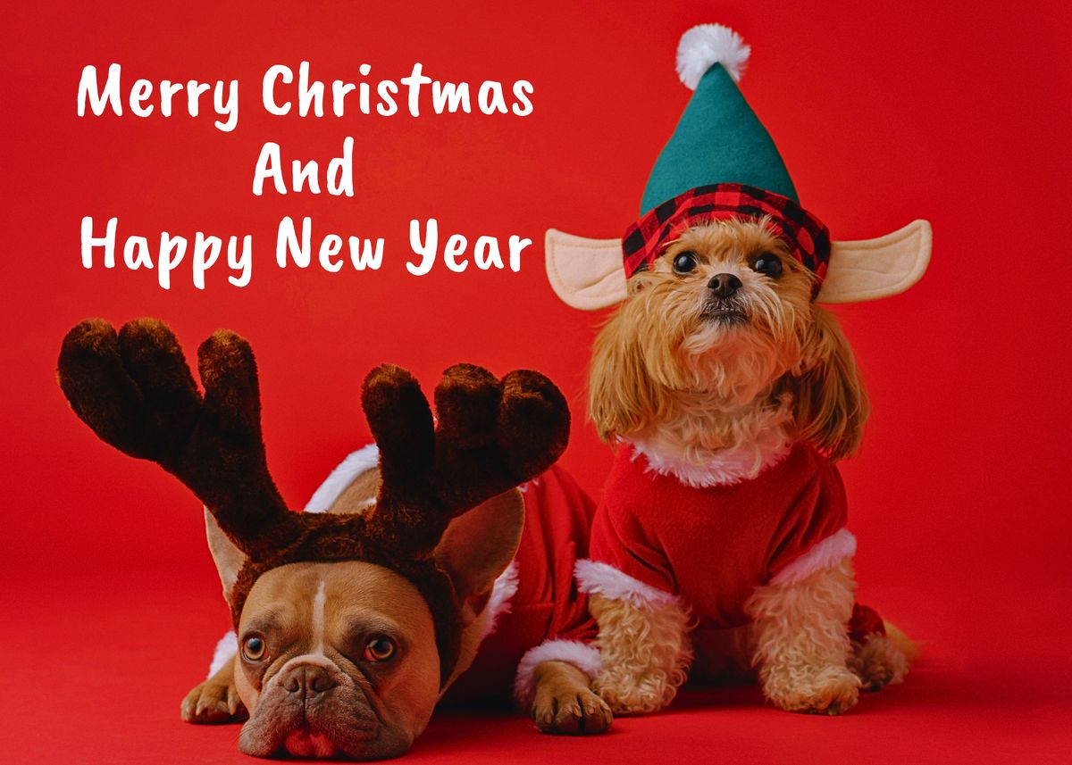 'Dogs in Christmas Costumes' Poster, picture, metal print, paint by ...
