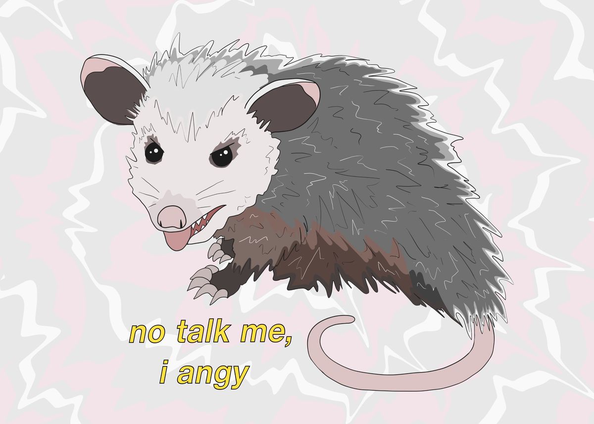 'No Talk Me, I Angy - Angry Baby Opossum Meme' Poster, picture, metal ...