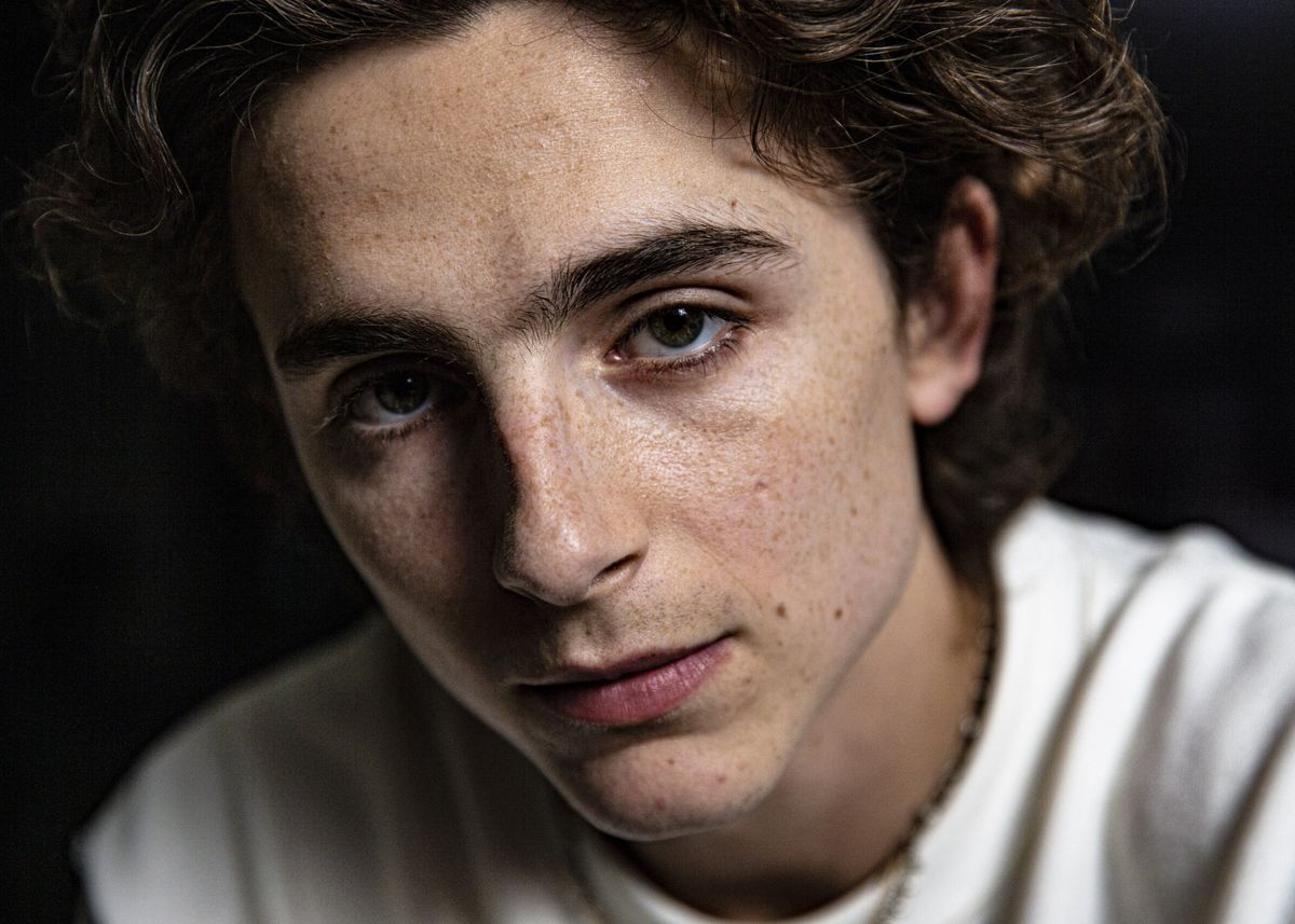 'Timothée Chalamet Portrait' Poster, picture, metal print, paint by Natalia | Displate