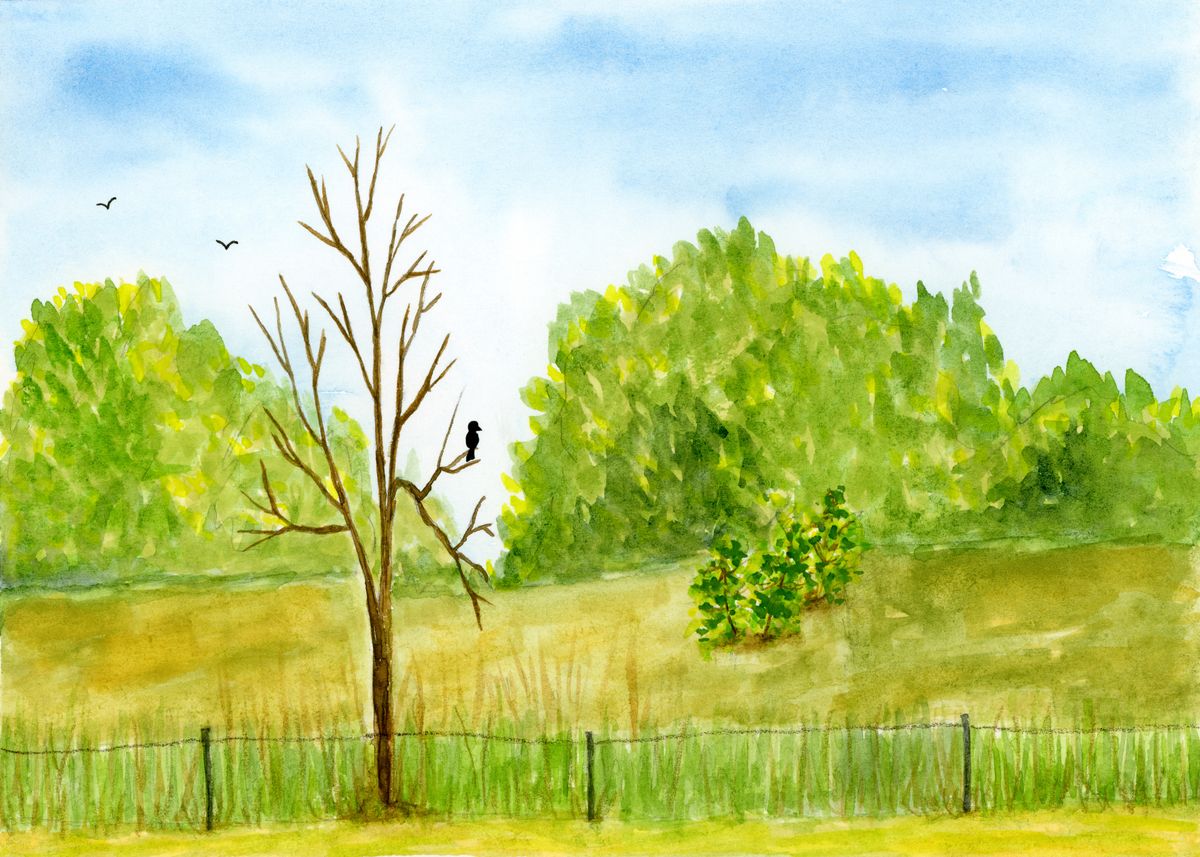 'Watercolor Landscape with Black Bird on Tree Branch' Poster, picture, metal print, paint by ...