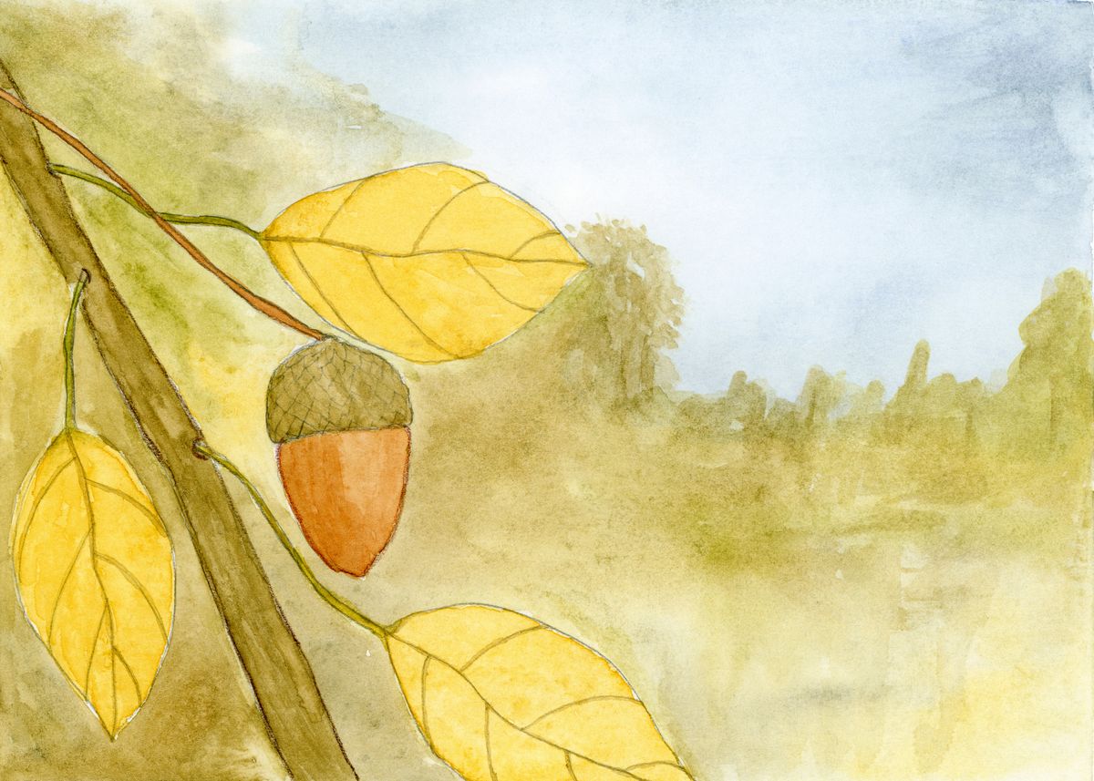 'Acorn and Leaves Watercolor Landscape' Poster, picture, metal print ...