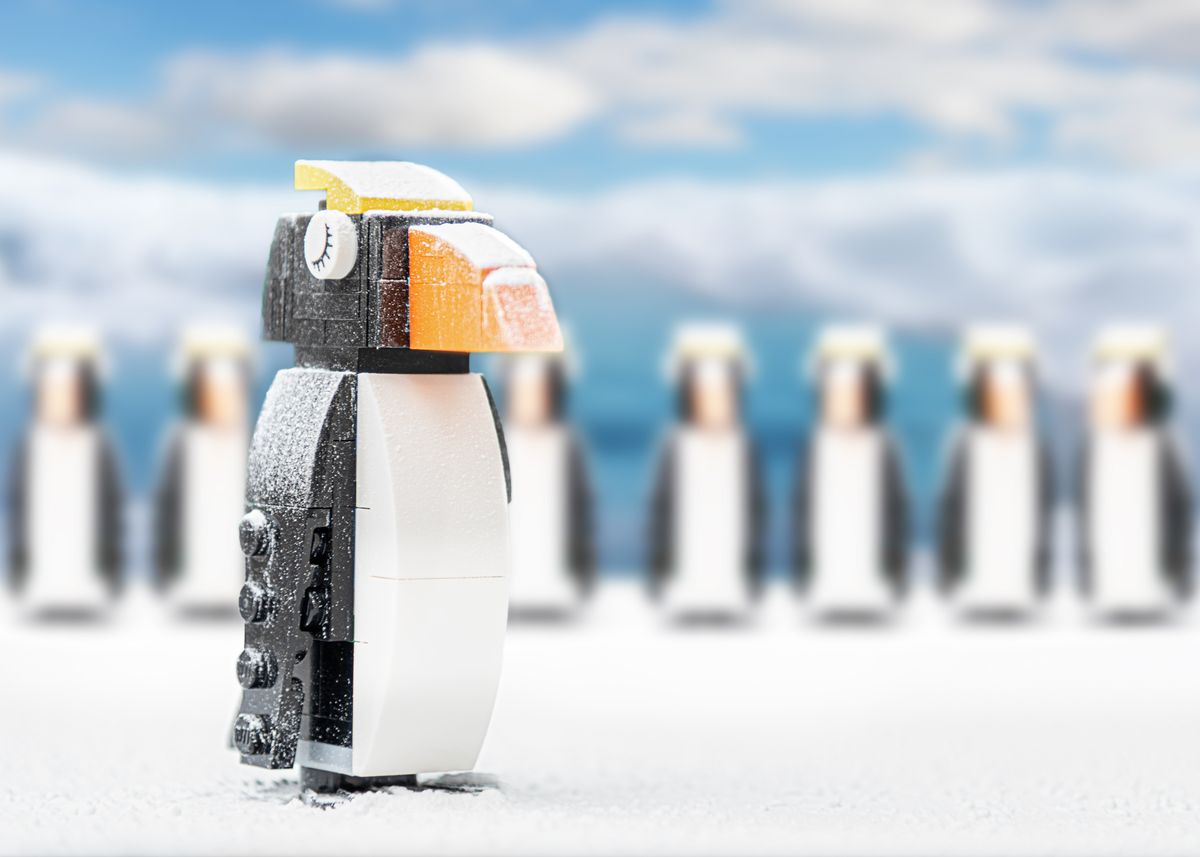 'The Brave Penguin' Poster, picture, metal print, paint by Dan Beecroft ...