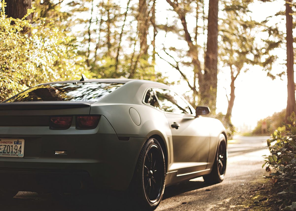 'Matte Grey Camaro in Forest' Poster, picture, metal print, paint by ...