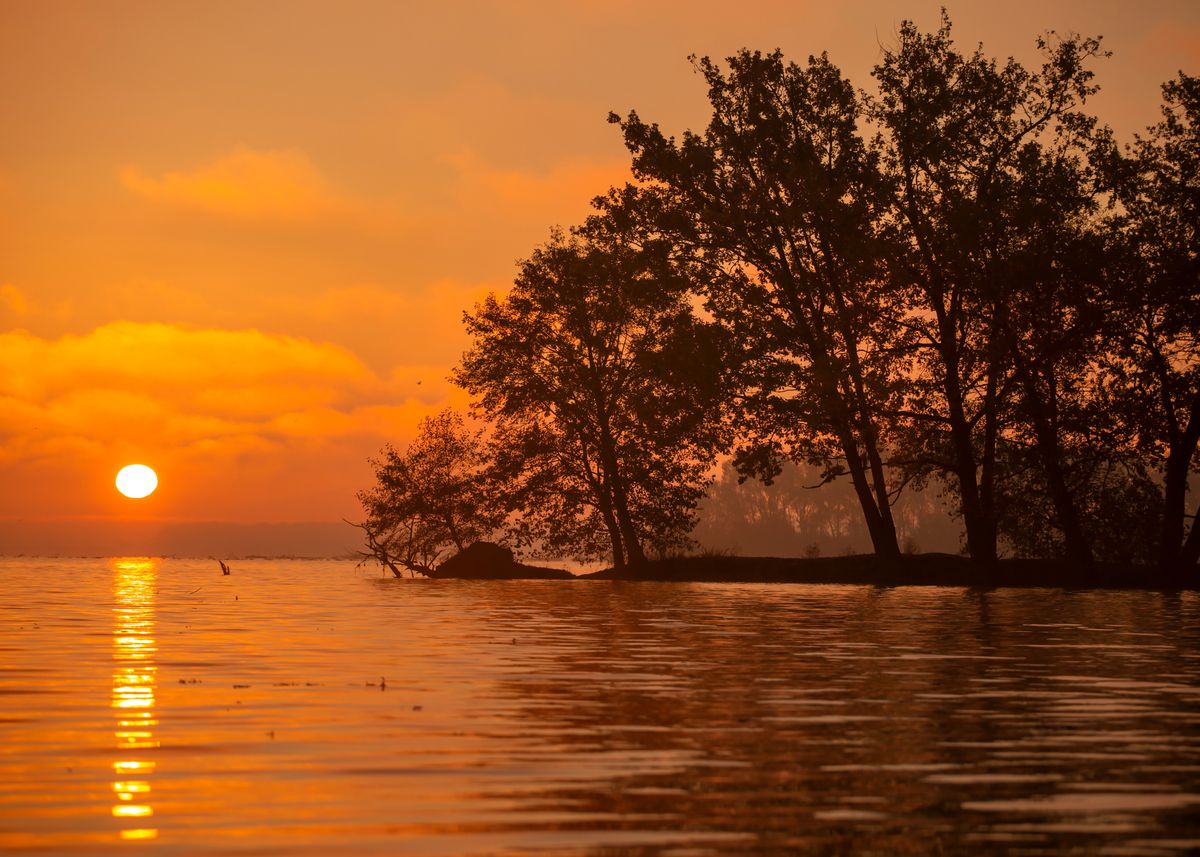 'Sunrise Over Water' Poster, picture, metal print, paint by Mycatherina ...