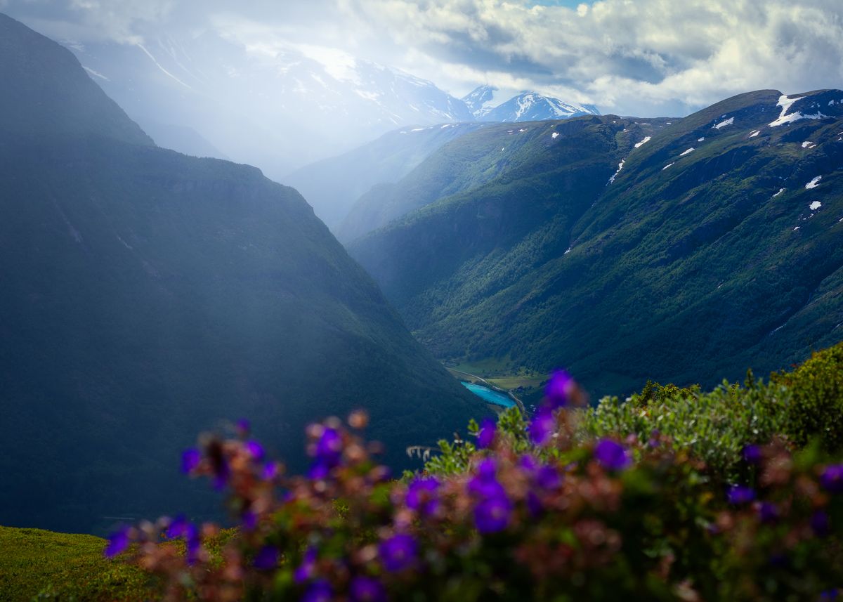 'Loen Mountain Valley ' Poster, picture, metal print, paint by Chris ...