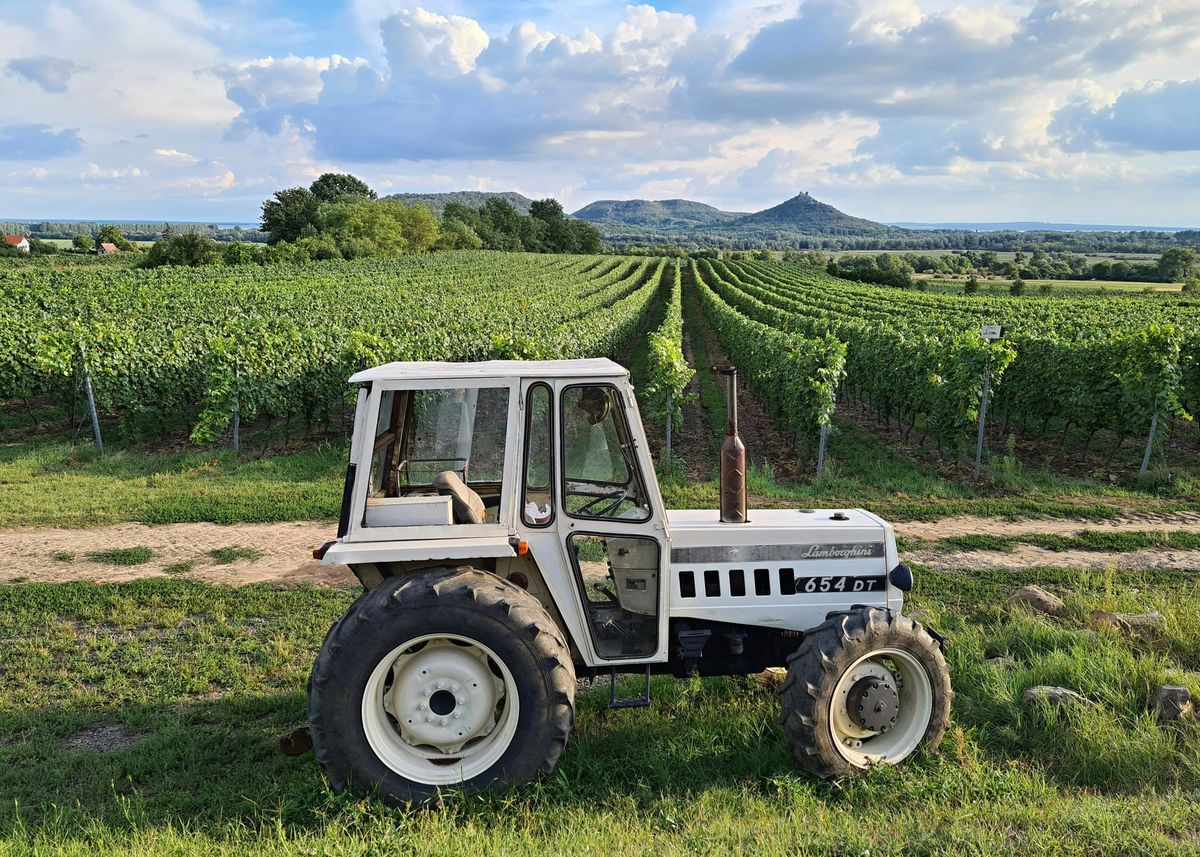 'Lamborghini Tractor in Vineyard' Poster, picture, metal print, paint by insideportugal | Displate
