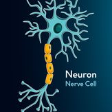 Science Design Merch Shop: Art, Posters & Prints | Displate