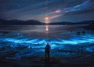 'All I Need' Poster, picture, metal print, paint by Aenami | Displate