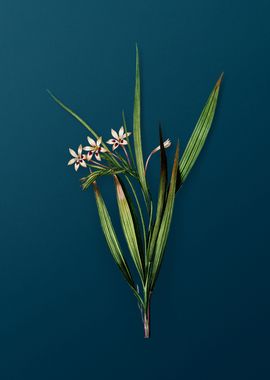 'White Baboon Root' Poster, picture, metal print, paint by Holy Rock ...