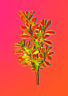 'Bright Pink Neon Botanical' Poster, picture, metal print, paint by ...