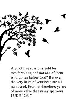 'Luke 12 6 7' Poster, picture, metal print, paint by ABConcepts | Displate