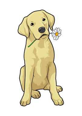'Labrador Daisy' Poster, picture, metal print, paint by Markus Schnabel ...