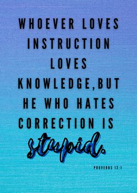 'He Who Hates Correction' Poster, picture, metal print, paint by Ronny ...