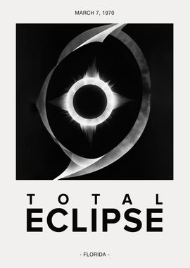 'Total Eclipse Florida' Poster, picture, metal print, paint by ...