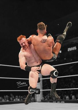 'Sheamus vs Ludwig Kaiser' Poster, picture, metal print, paint by ART ...