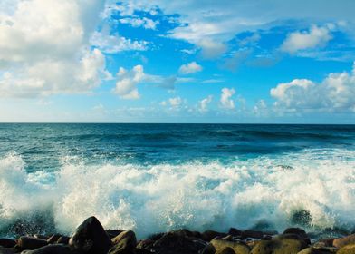 Randy Lehrman Merch Shop: Art, Posters & Prints | Displate