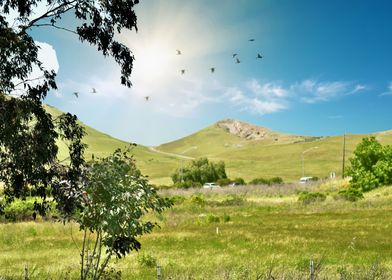 Randall James Merch Shop: Art, Posters & Prints | Displate