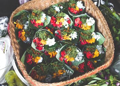 dionisi lami Merch Shop: Art, Posters & Prints | Displate