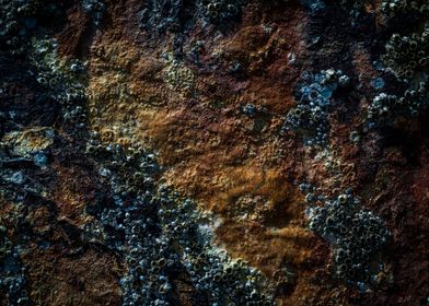 dionisi lami Merch Shop: Art, Posters & Prints | Displate