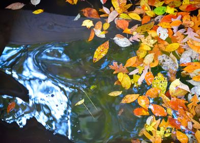 'woodloch monster' Poster by Timothy Cottam | Displate