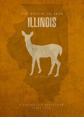 'Illinois State Facts' Poster by Design Turnpike | Displate