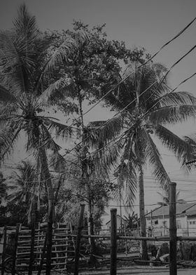 louie suarez Merch Shop: Art, Posters & Prints | Displate