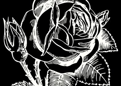 'Inverted Sketched Rose ' Poster by | Displate