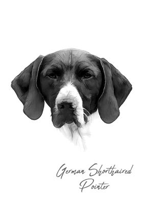 'German Pointer dog' Poster by Art Ofphotos | Displate