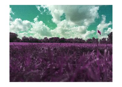 'Vaporwave field day' Poster by Scifs | Displate