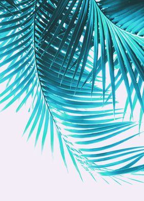 'Palm Leaves Turquoise 1' Poster by Anita's & Bella's Art | Displate