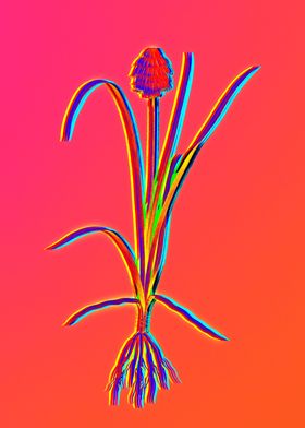 'Neon Flora Illustration' Poster by Holy Rock Design | Displate