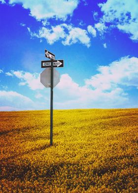 'Ambiguous Sign' Poster by seam less | Displate