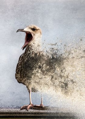 'Waterbird' Poster by World Class Photos | Displate