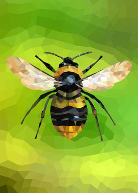 'Bee in polygon' Poster by Max Ronn | Displate