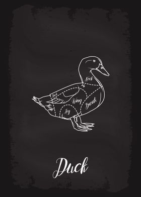 'Butcher Cuts of Duck' Poster by dkDesign | Displate