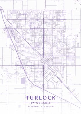 'Turlock United States' Poster by Designer Map Art | Displate