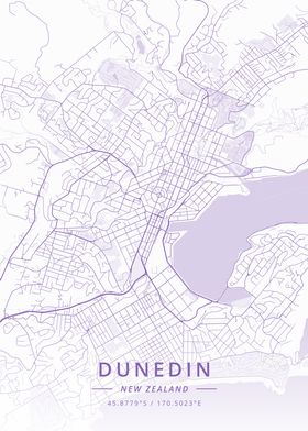 'Dunedin New Zealand' Poster by Designer Map Art | Displate