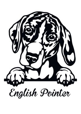 English Pointer Silhouette