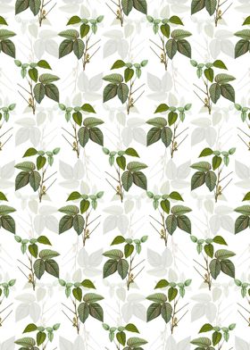 'Eastern Poison Ivy Pattern' Poster by Holy Rock Design | Displate