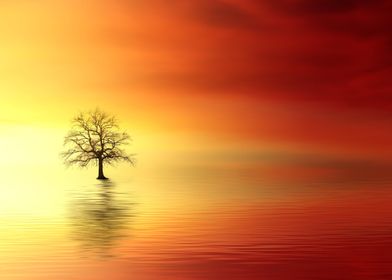 'Lone Tree' Poster by Conceptual Photography | Displate