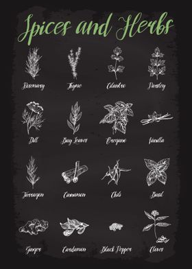 'Spices and Herbs Guide' Poster by dkDesign | Displate