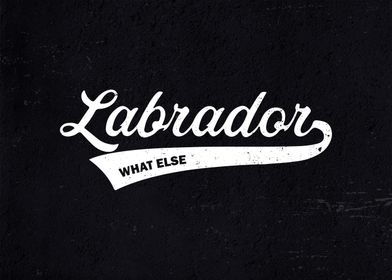 'Labrador what else' Poster by Uber Colektiv | Displate