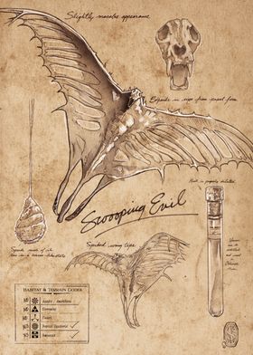 'Swooping Evil Note' Poster by Wizarding World | Displate