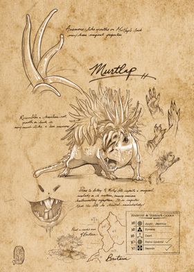 'Murtlap Note' Poster by Wizarding World | Displate